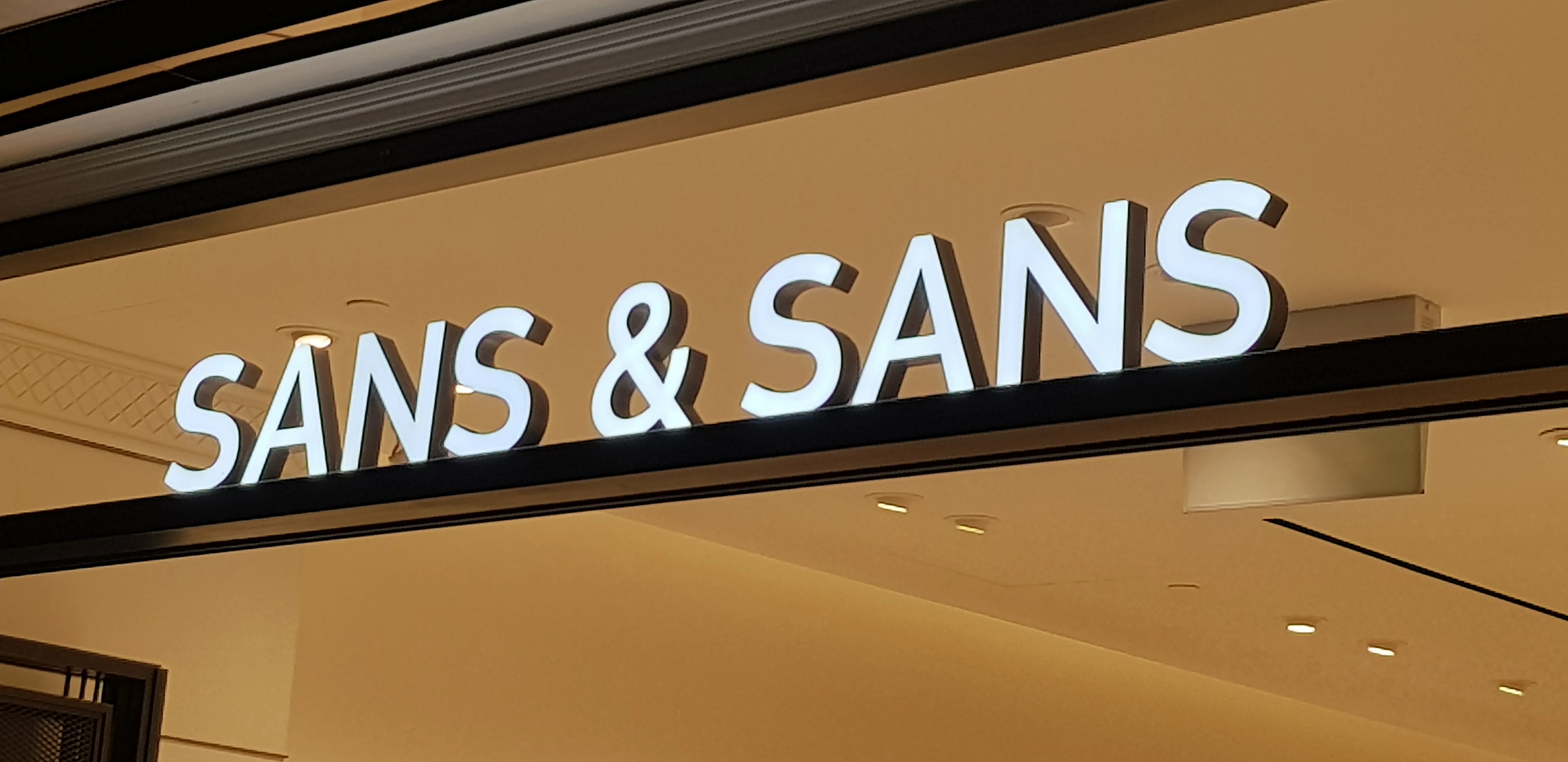 Since when were there two Sans? | Fandom