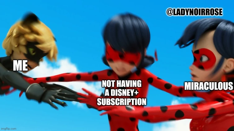 Miraculous memes! | Fandom