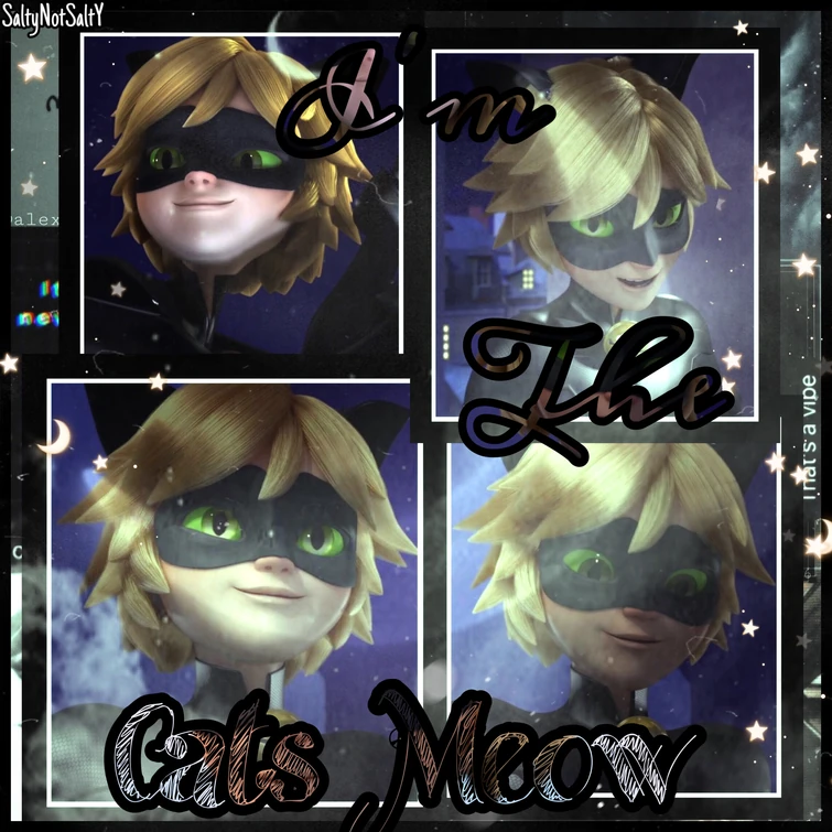 Cat noir | Fandom