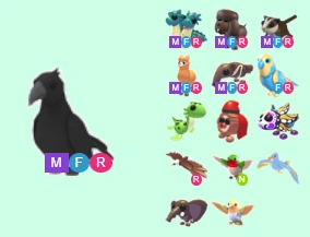 Should i do this for my mega crow? | Fandom