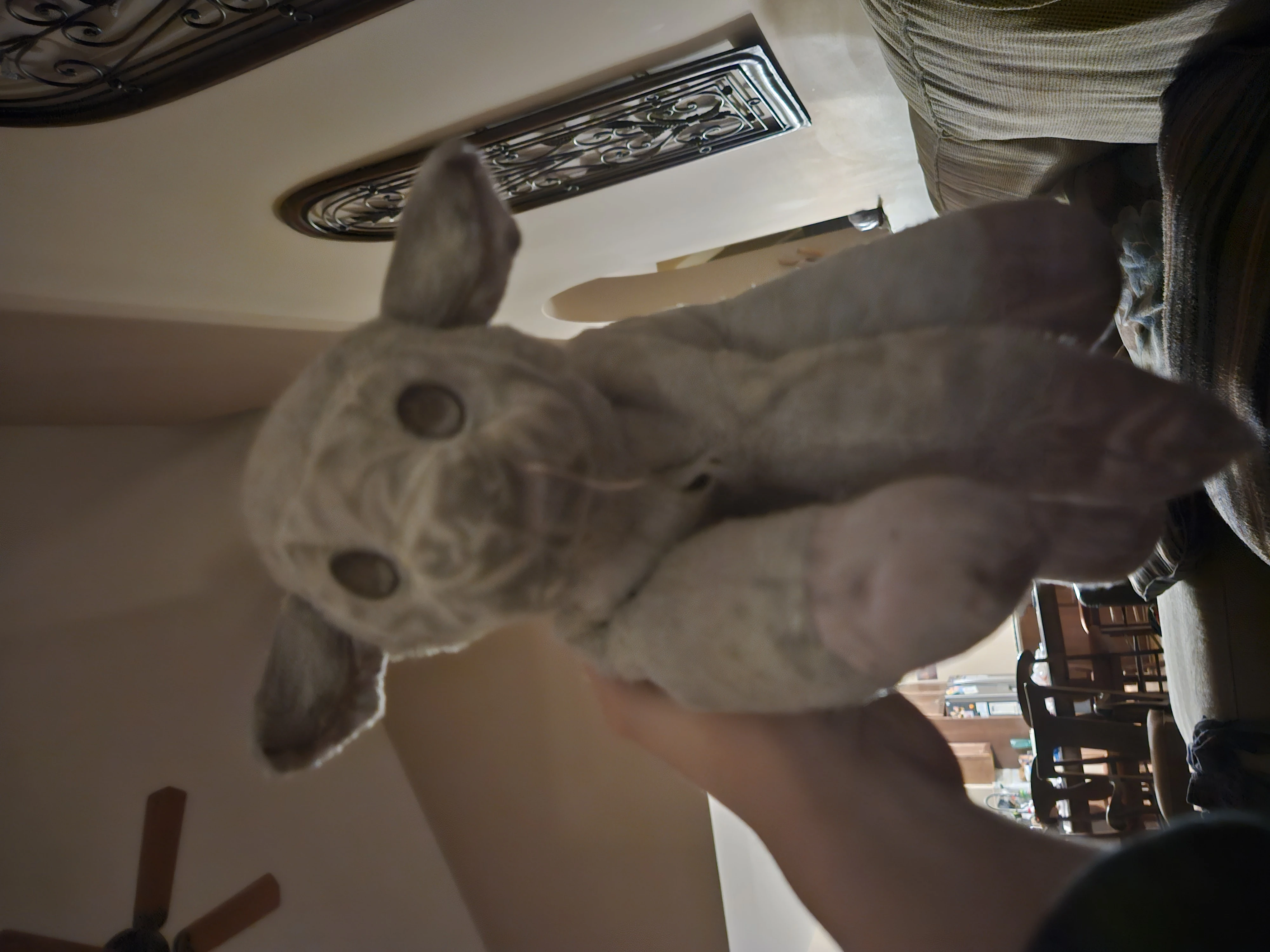 Goodnight chat | Fandom