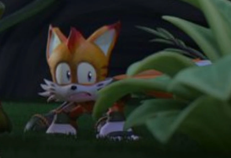 Mangey tails :) | Fandom