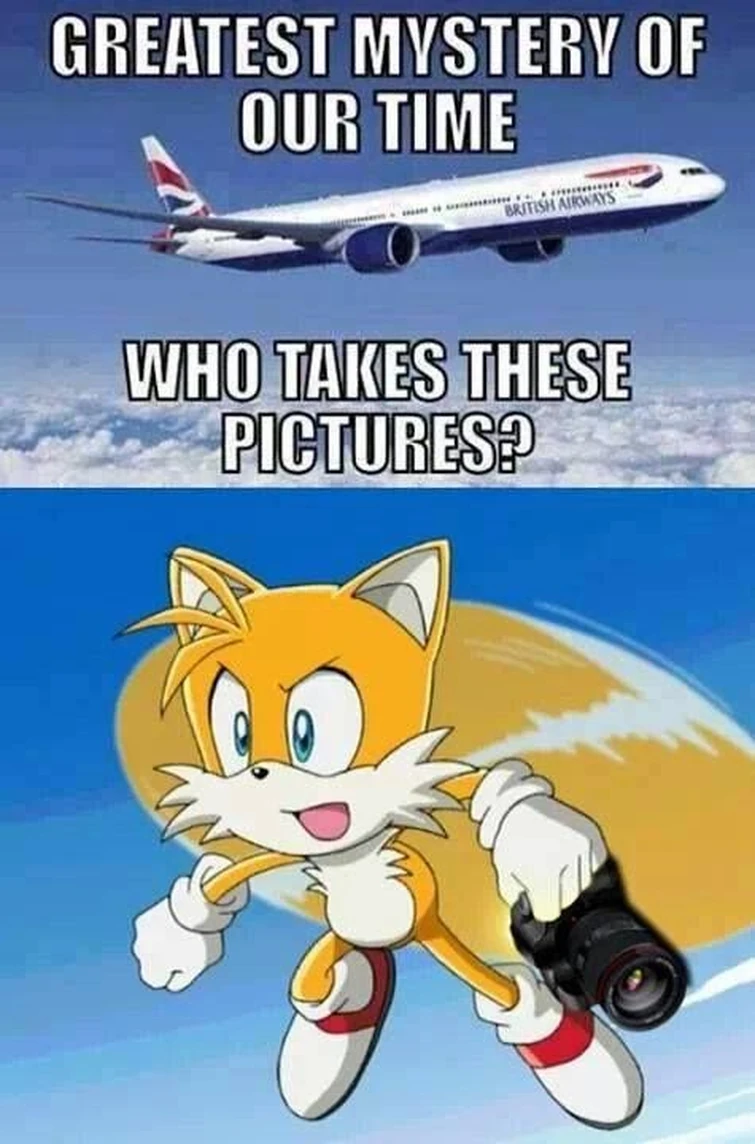 Tails Mem Drop | Fandom