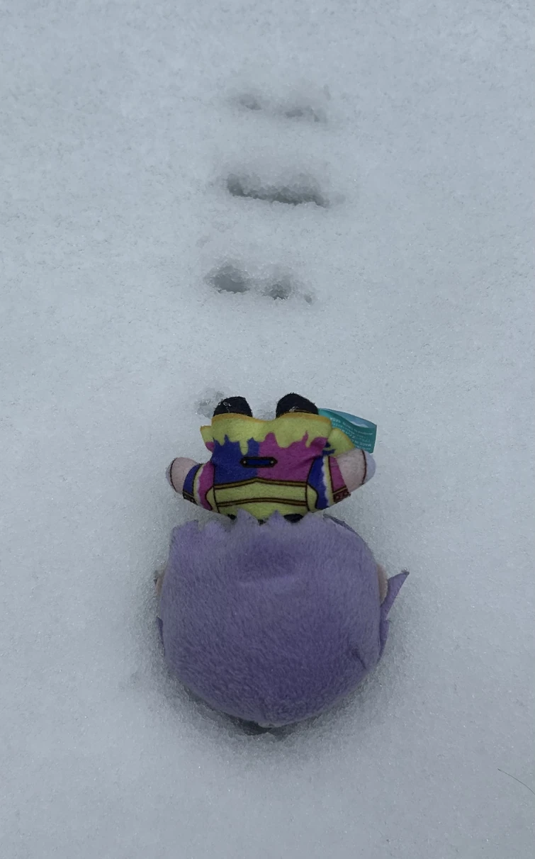 little rui-chans snow adventure!!!! | Fandom