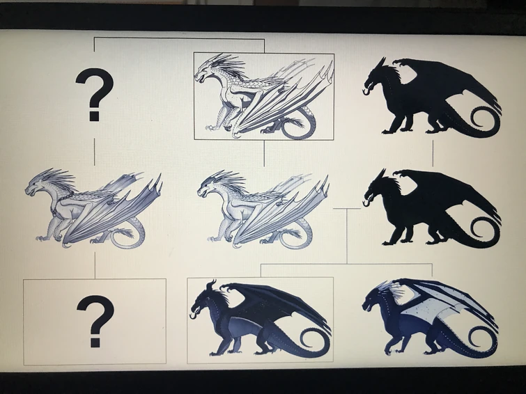 Ancient IceWing Royal family | Fandom