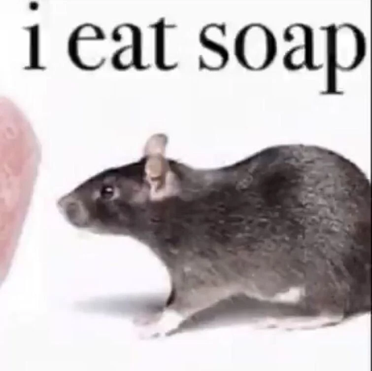 kidcore cat ref sheet (TW for eyes, bright colors) | Fandom