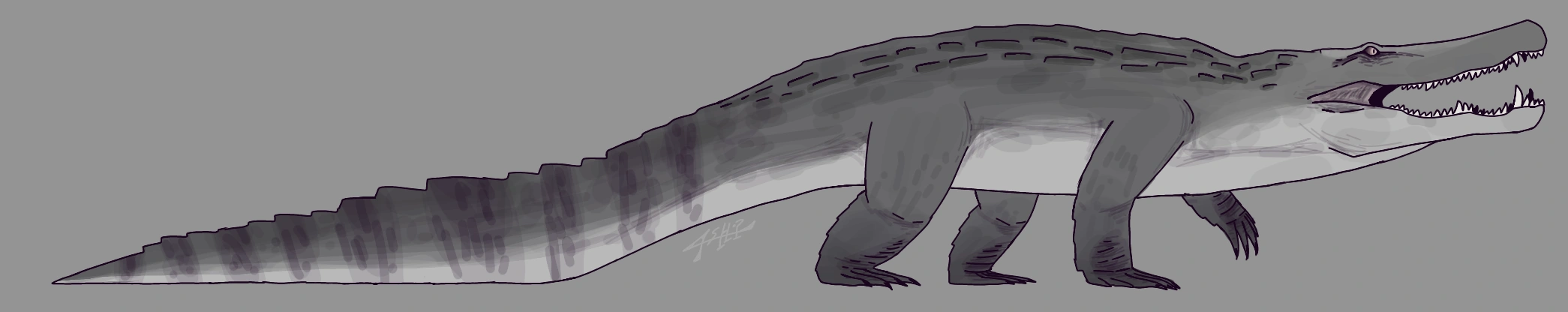 Borealosuchus drawing | Fandom
