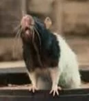 Claudius | 20th Century Fox 2 Wiki | Fandom