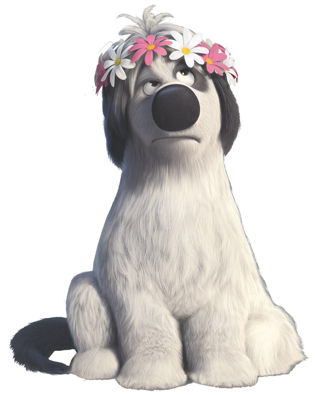 Paco | 20th Century Fox 2 Wiki | Fandom