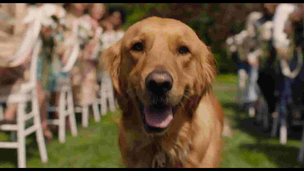 Enzo | 20th Century Fox 2 Wiki | Fandom