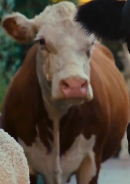 Cow (Garfield: A Tail of Two Kitties) | 20th Century Fox 2 Wiki | Fandom