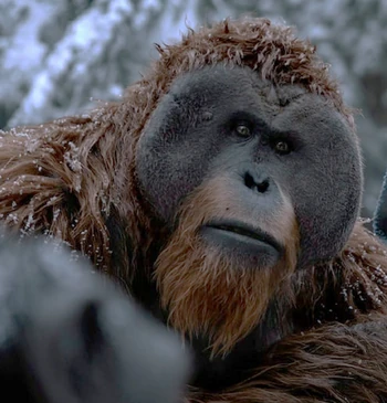 Maurice (20th Century Fox and Chernin's Planet of the Apes) | 20th ...