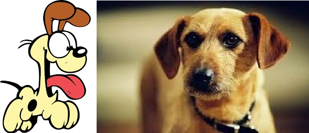 Odie | 20th Century Studios Wiki | Fandom