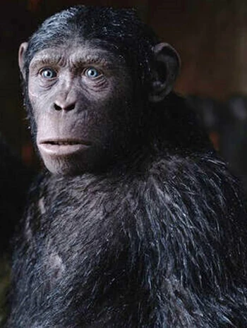 Blue Eyes (20th Century Fox and Chernin's Planet of the Apes) | 20th ...