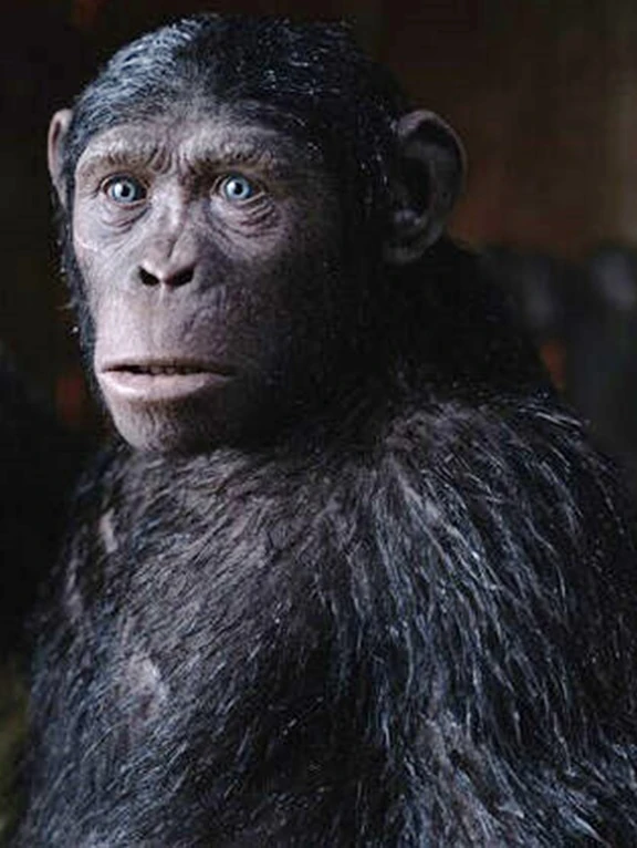 Blue Eyes (20th Century Fox and Chernin's Planet of the Apes) | 20th ...