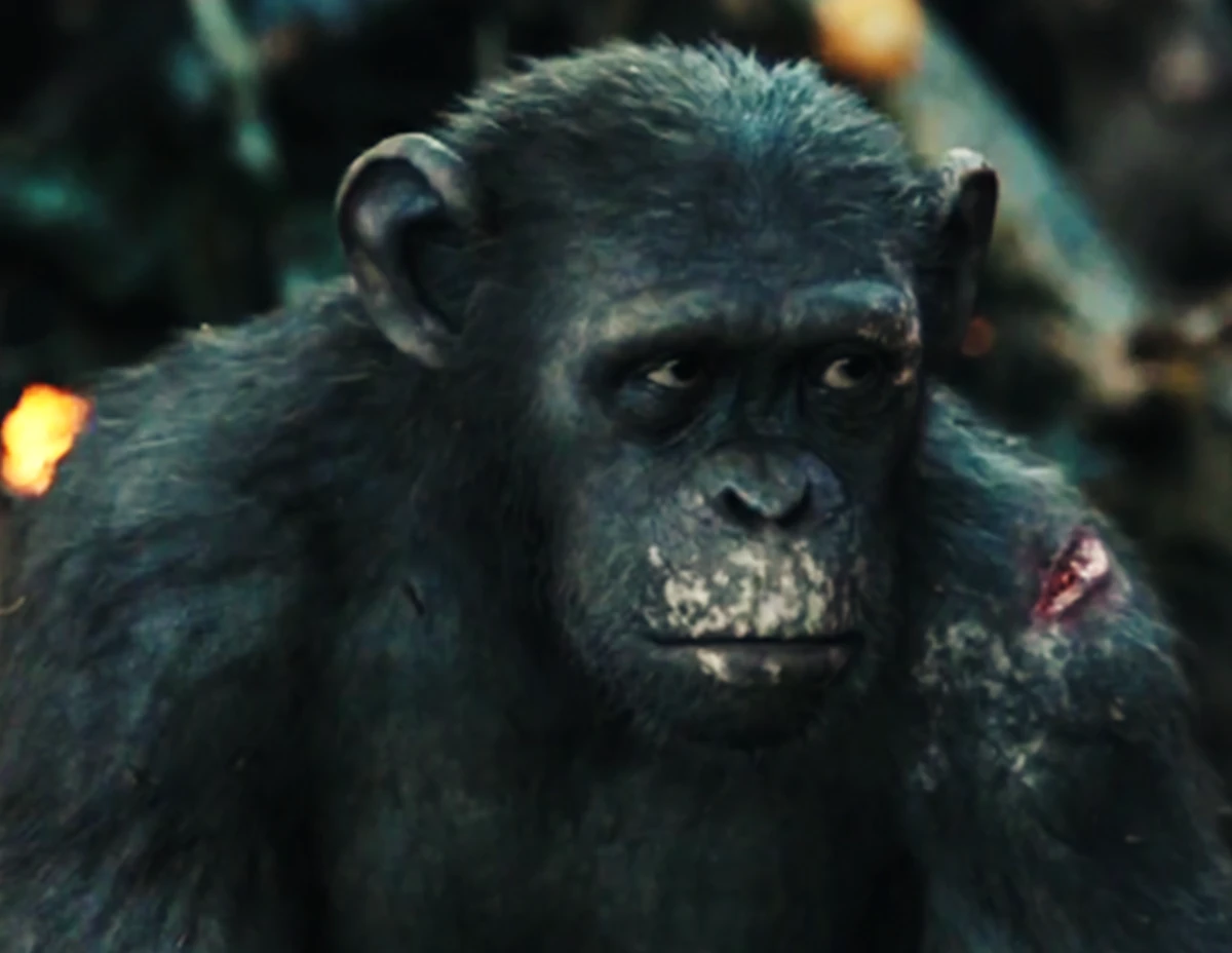 Ash (20th Century Fox and Chernin's Planet of the Apes) | 20th Century ...