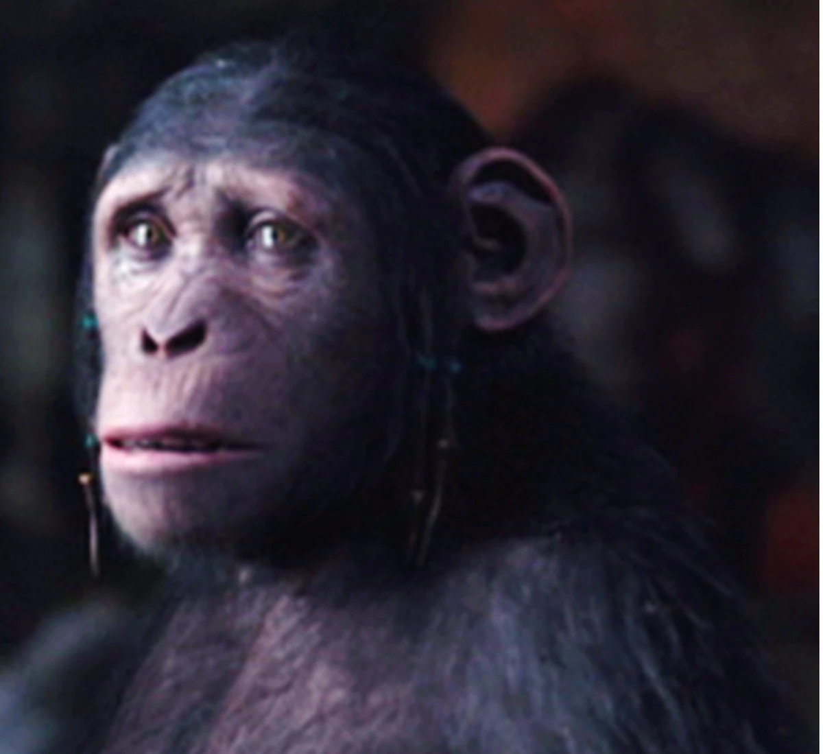 Cornelia (20th Century Fox and Chernin's Planet of the Apes) | 20th ...