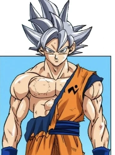 Favorite version of Ultra Instinct? | Fandom