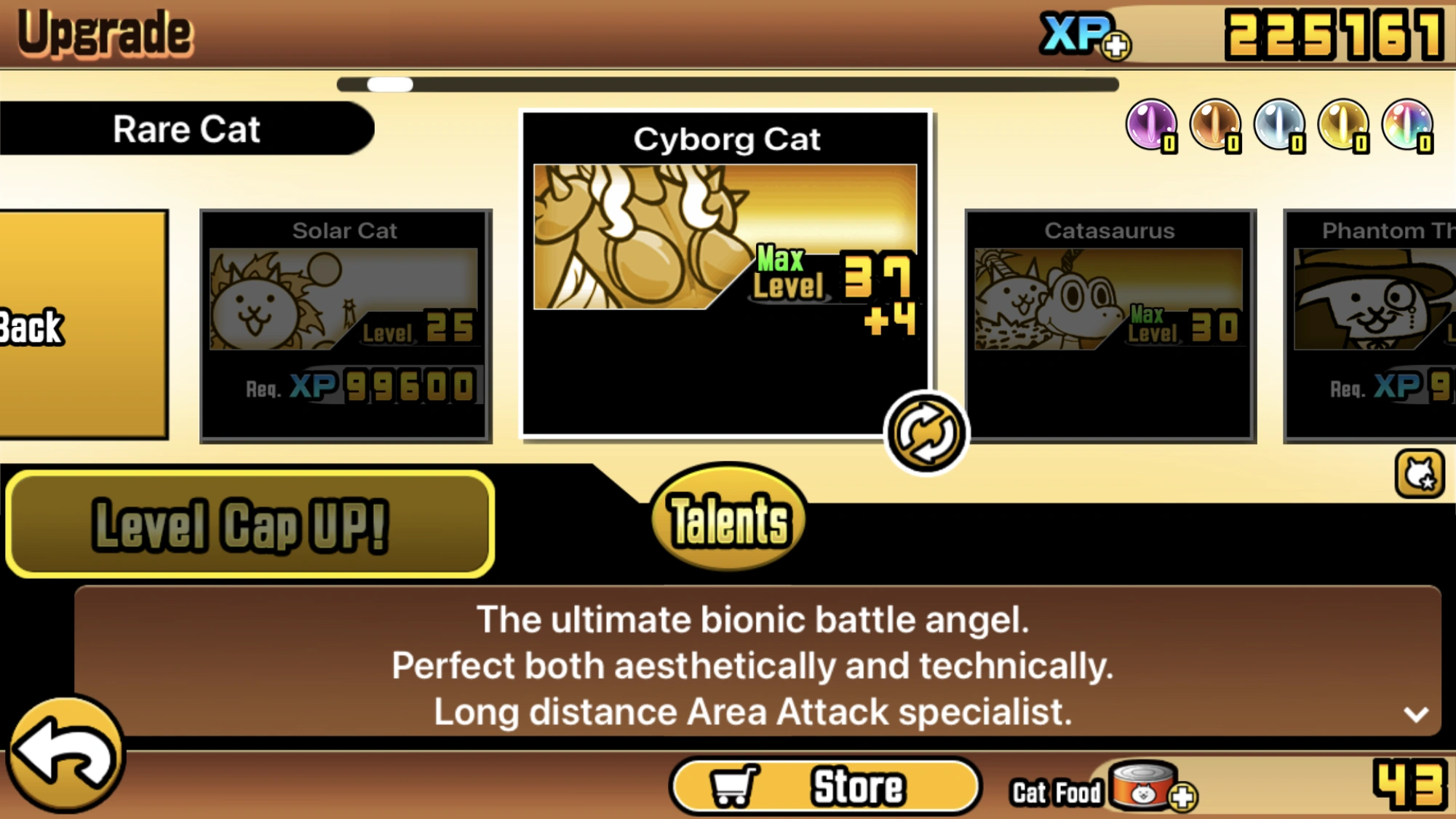 whats your highest level cat? | Fandom