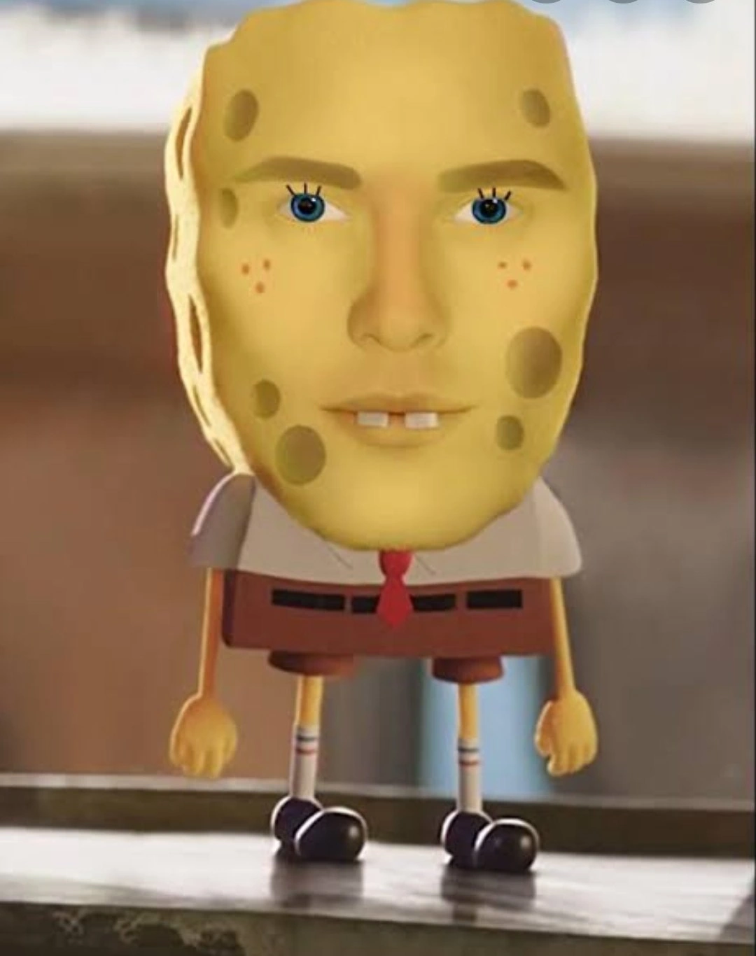 spunvhc bob | Fandom