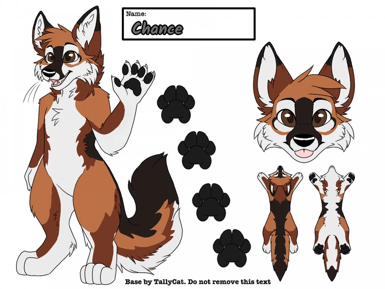 Oc development | Fandom