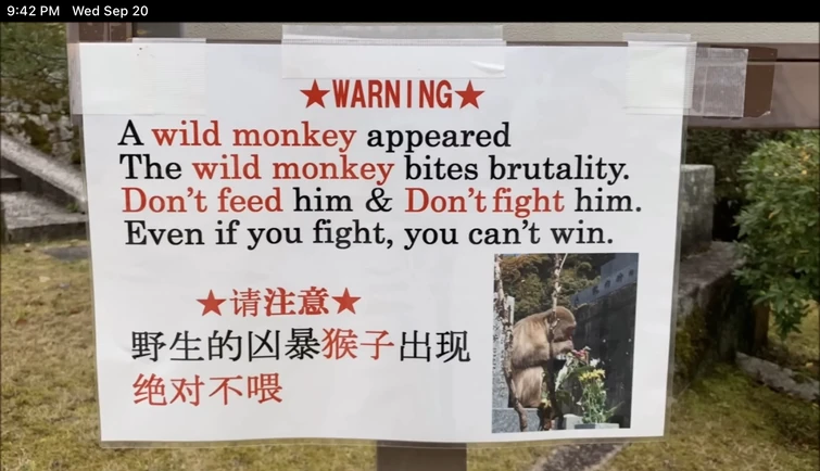 The wild monkey has appeared. | Fandom
