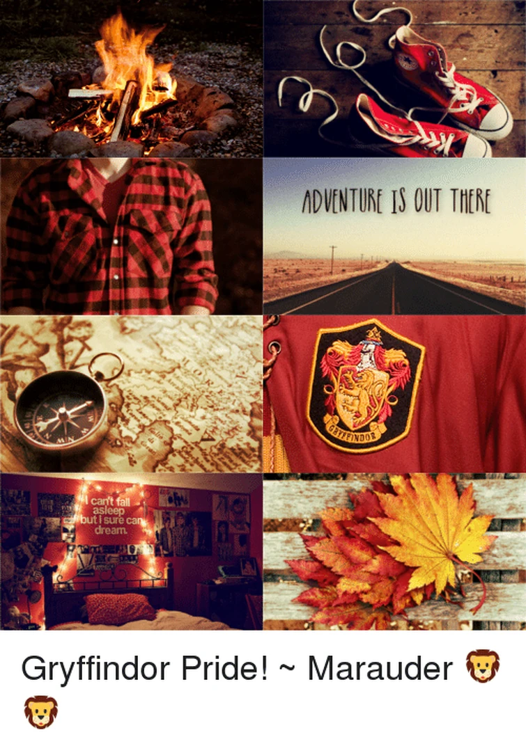 Happy Gryffindor pride day💖💛💖💛💖 | Fandom