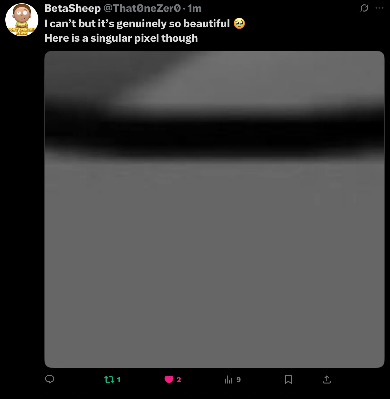 BetaSheep has showed off a singular pixel of the Irida lyrical section👀 | Fandom