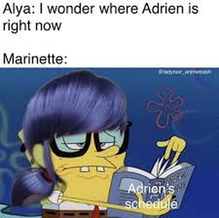 DQ animation | Fandom