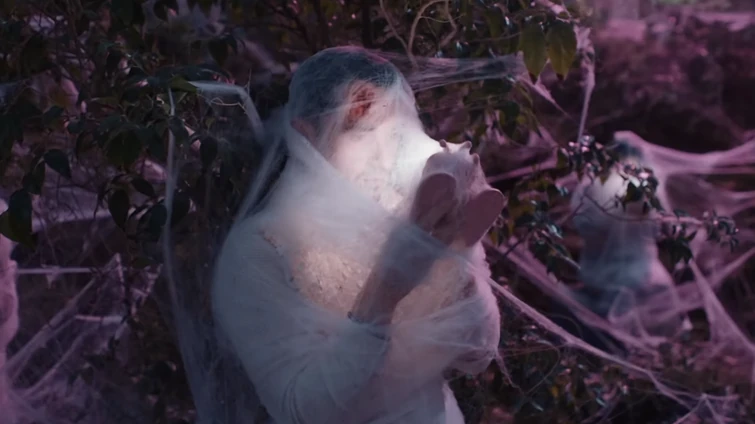 Melanie Martinez's SPIDER WEB (2024 Music Video) KILL COUNT | Fandom