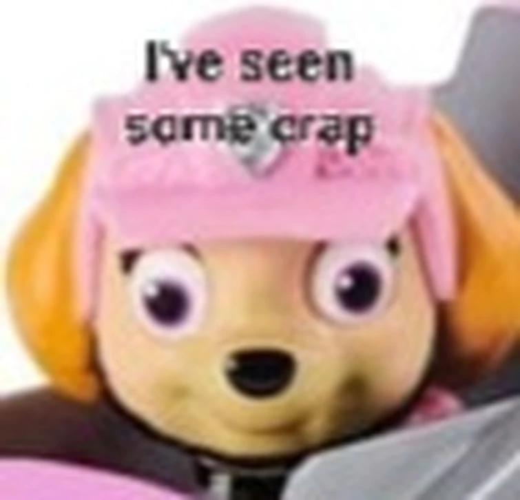 Paw Patrol memes go brrrrr | Fandom