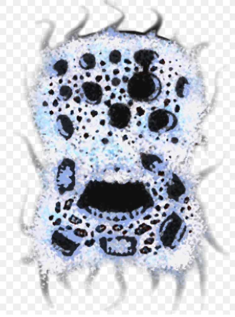 Discuss Everything About Fanmade Doors Entities Wiki | Fandom