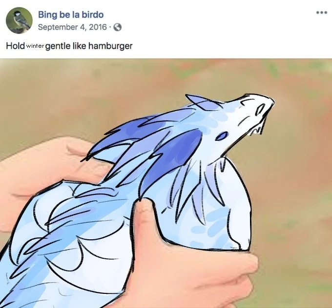 Blursed/cursed wof images. | Fandom