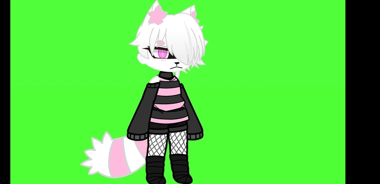 Chad broski | Fandom