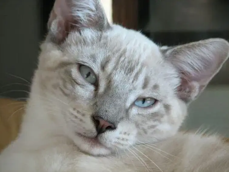 Eyebleach but it's in discussions | Fandom