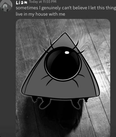 Bill Memes | Fandom