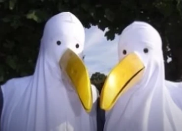 CC REAL NAME? | Fandom