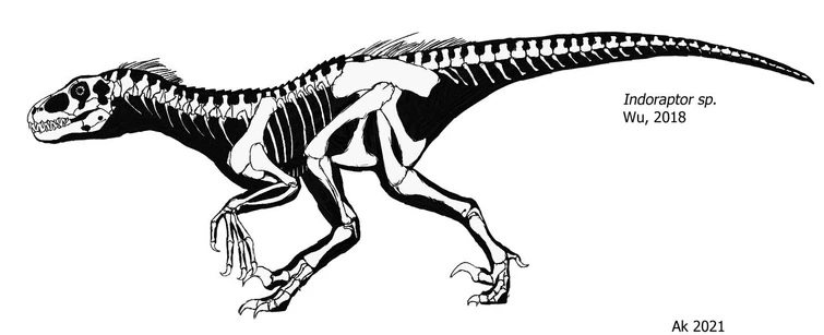 Jurassic Park/World Velociraptor Skull Comparison Art | Fandom