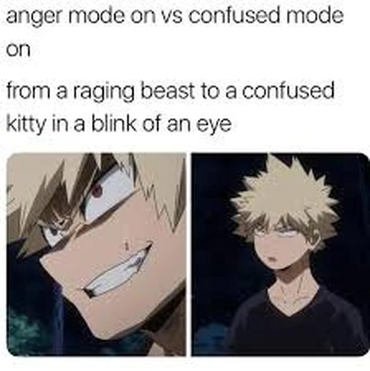 Bakugo Memes | Fandom
