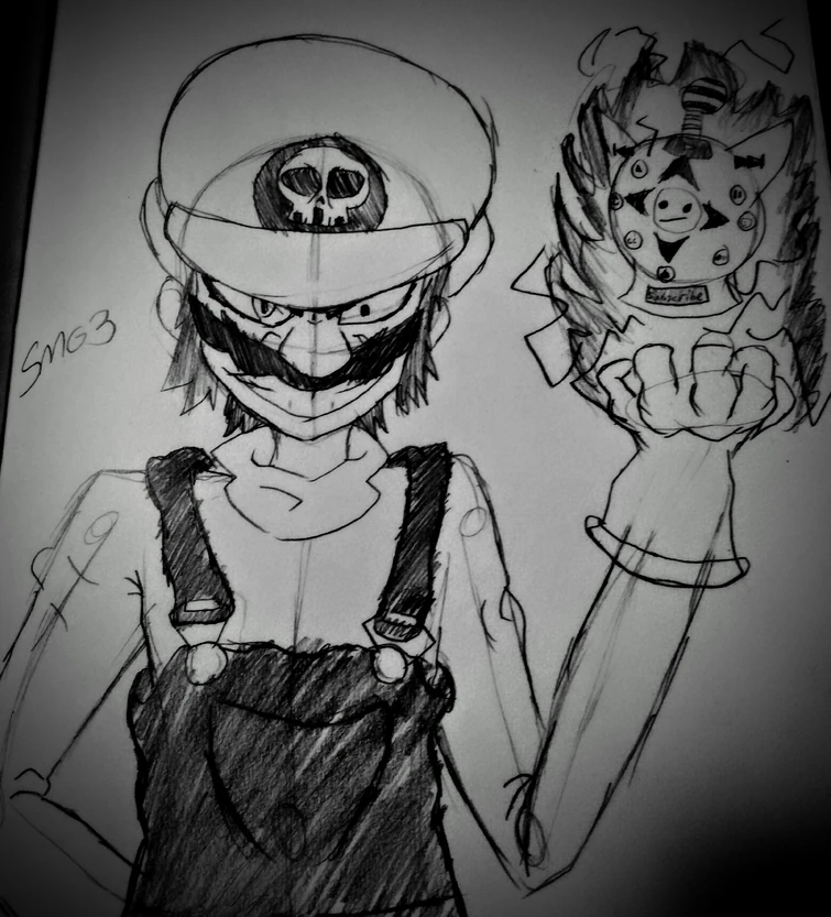 SMG3 fanart by me | Fandom