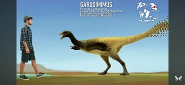 Better Ornithomimid? | Fandom