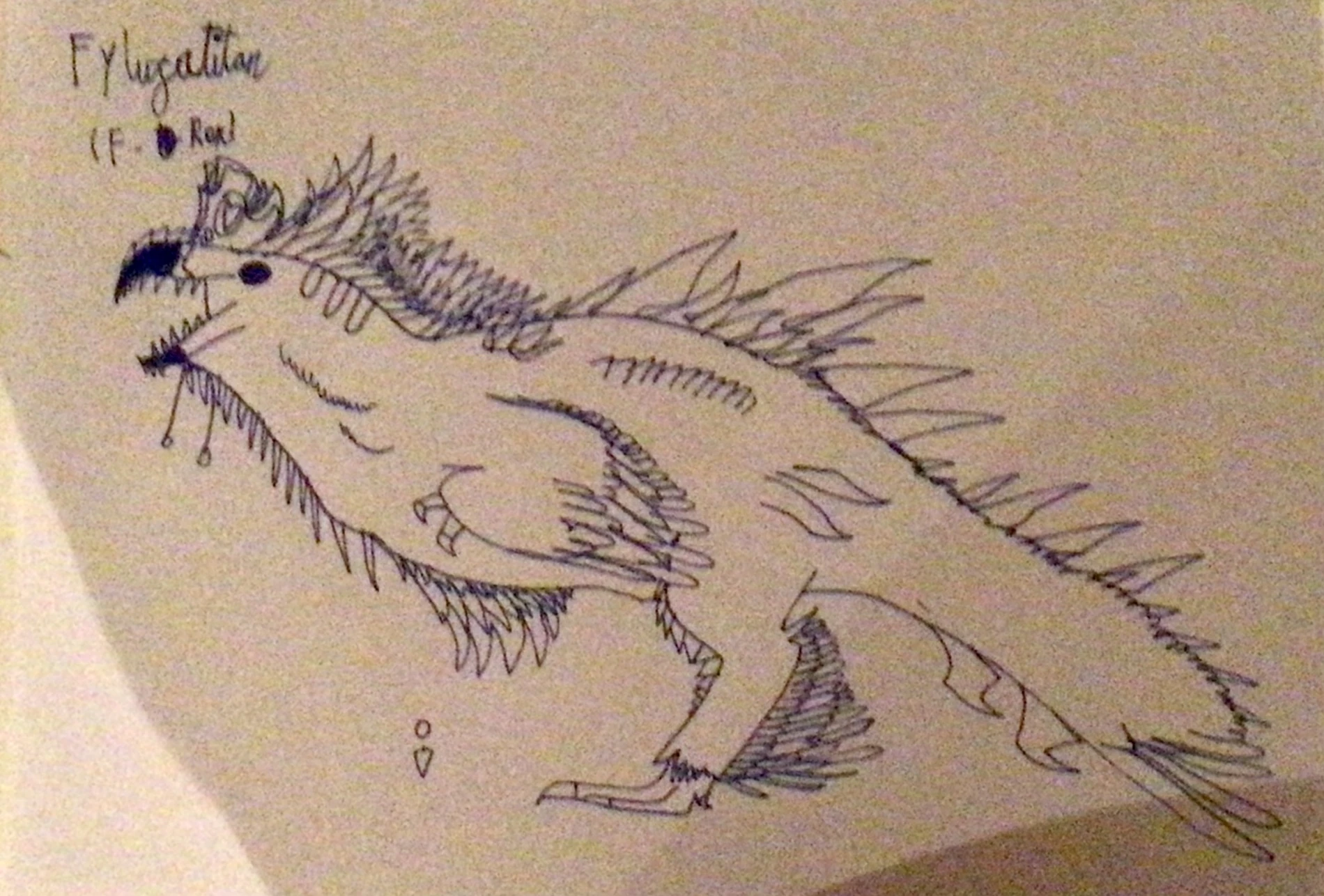 Creature concept ;-; | Fandom