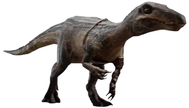 You free the baby. Then you hear large footsteps. It’s a Spinosaurus ...