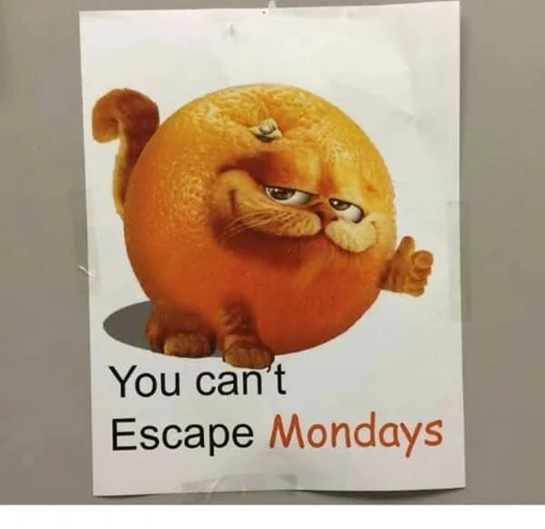 Garfield orange | Fandom