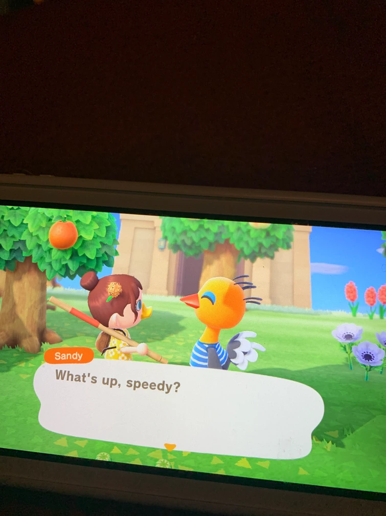 Discuss Everything About Animal Crossing Wiki | Fandom