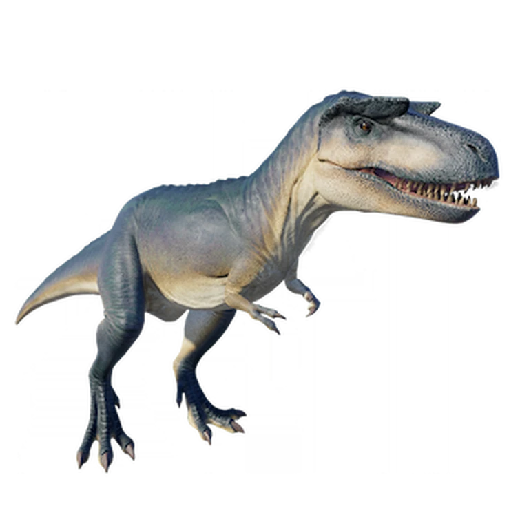 Meet the dinosaurs: Albertosaurus sarcophagus | Fandom