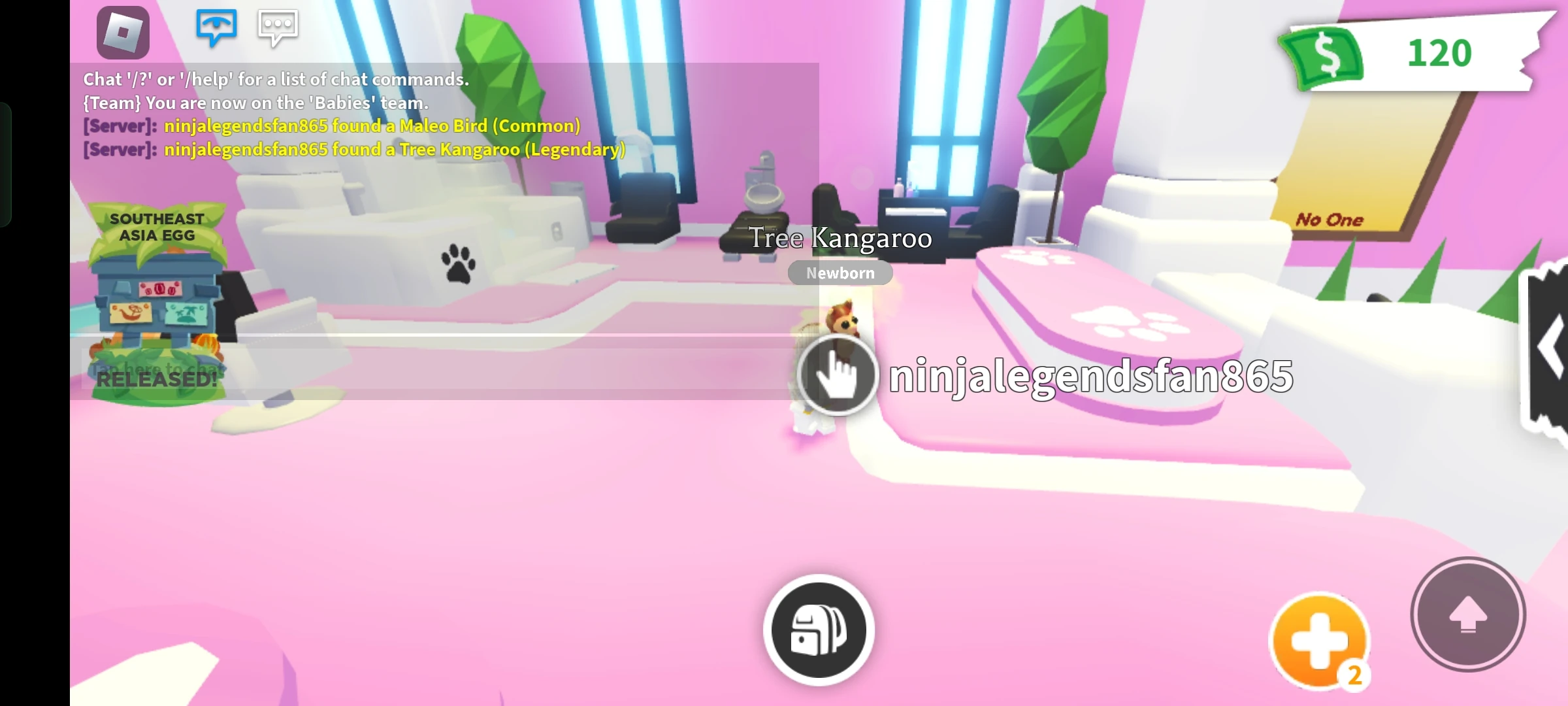 Is it just me or the tree kangaroo is smaller than the og kanga | Fandom