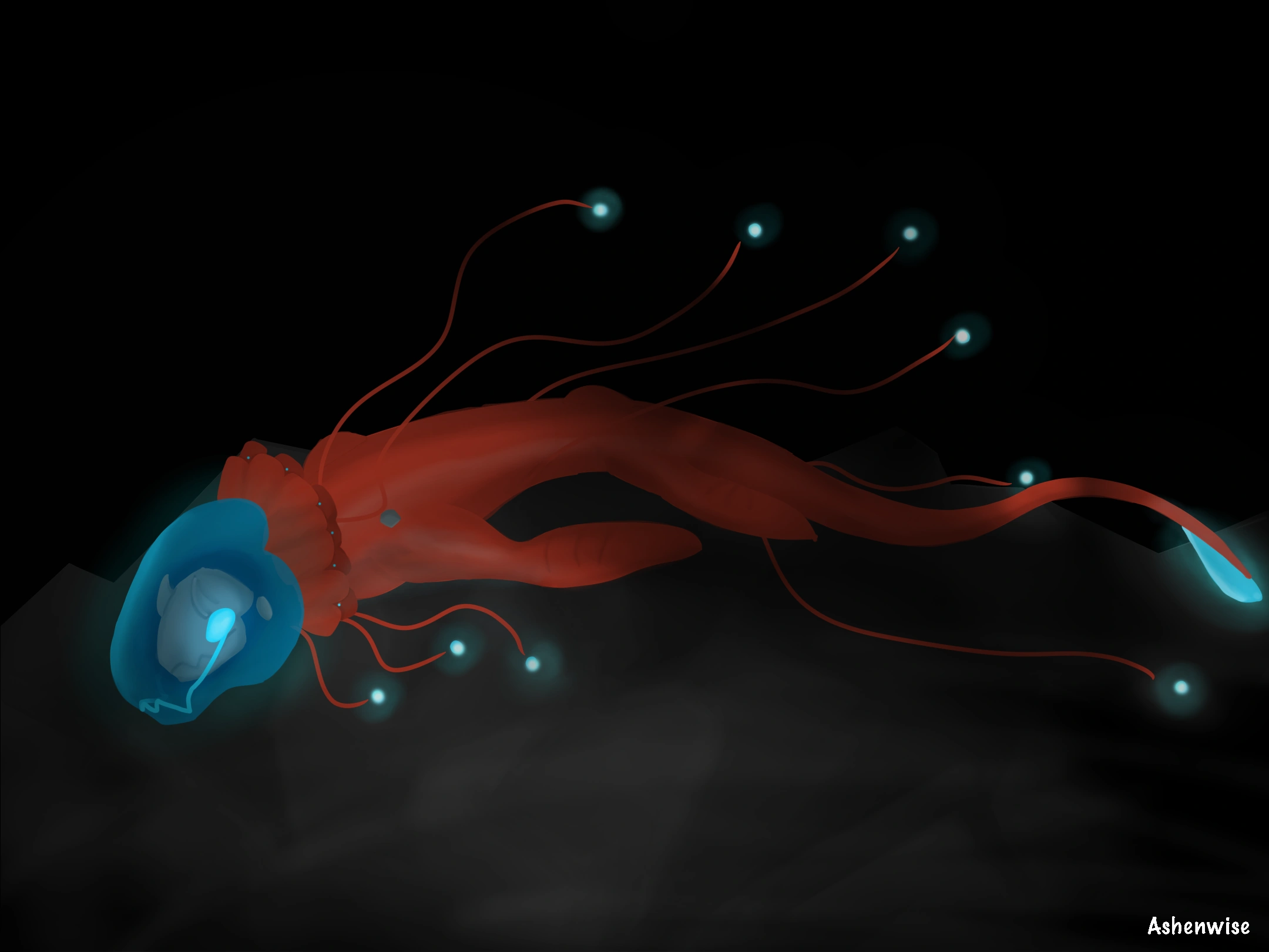 Atolla Jellyfish Zhel! (Click for better quality) | Fandom