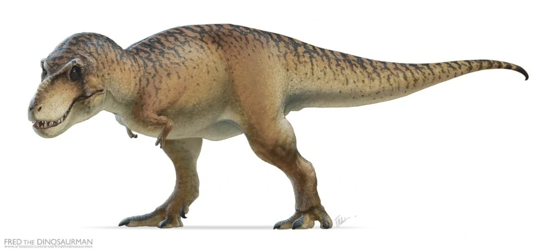 My favourite T.rex | Fandom