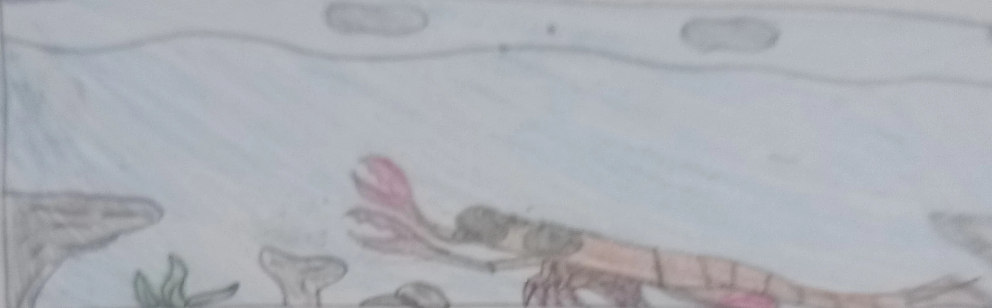 Low quality arthropod drawings made by a person who doesn't know how to ...